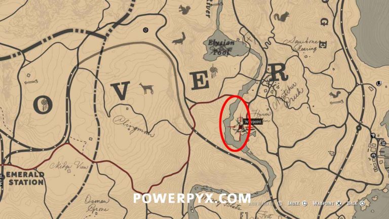 Red Dead Redemption 2 All Animal Locations (Zoologist & Skin Deep)