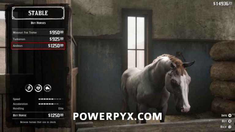 Red Dead Redemption 2 How to Get Best Horse