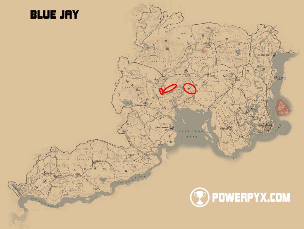 Red Dead Redemption 2 All Hunting Request Locations