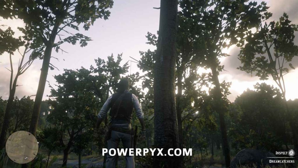 Red Dead Redemption 2 All Dreamcatchers Locations