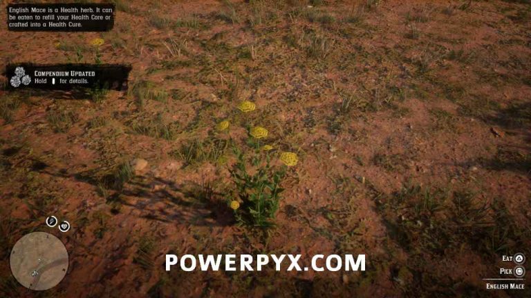 Red Dead Redemption 2 Plants Locations