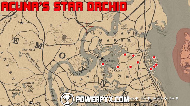 Red Dead Redemption 2 Plants Locations