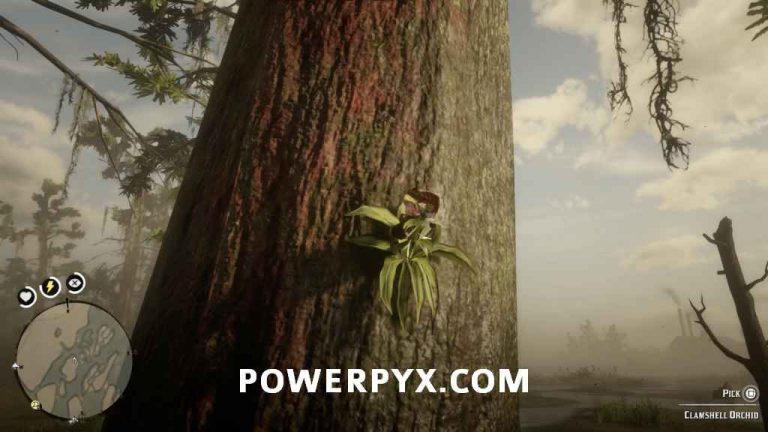 Red Dead Redemption 2 Plants Locations