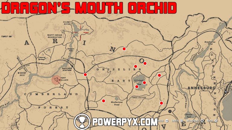 Red Dead Redemption 2 Plants Locations