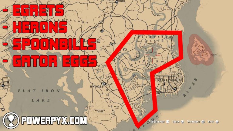 Red Dead Redemption 2 All Exotics Locations