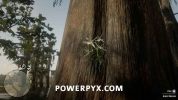 Red Dead Redemption 2 Plants Locations