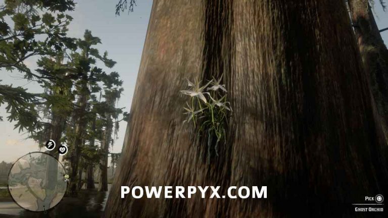 Red Dead Redemption 2 Plants Locations