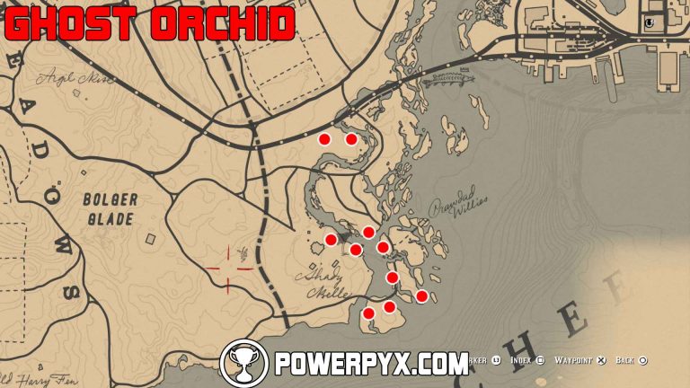 Red Dead Redemption 2 Plants Locations
