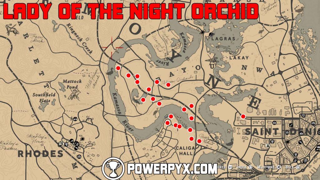 Red Dead Redemption 2 All Exotics Locations