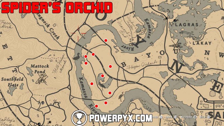 Red Dead Redemption 2 All Exotics Locations