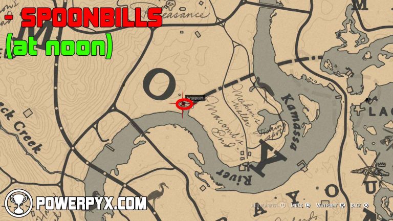 Red Dead Redemption 2 All Exotics Locations