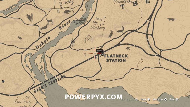Red Dead Redemption 2 Plants Locations