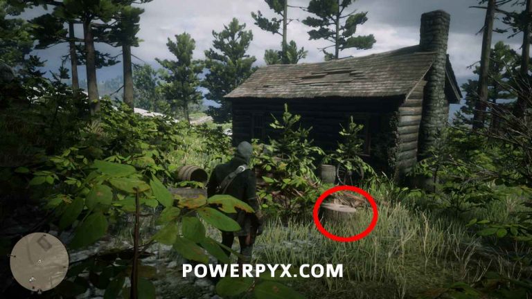 Red Dead Redemption 2 All Weapons Locations