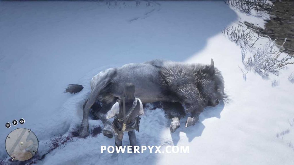 Red Dead Redemption 2 Legendary Animals Locations