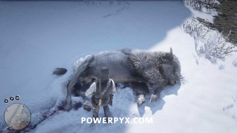 Red Dead Redemption 2 Legendary Animals Locations
