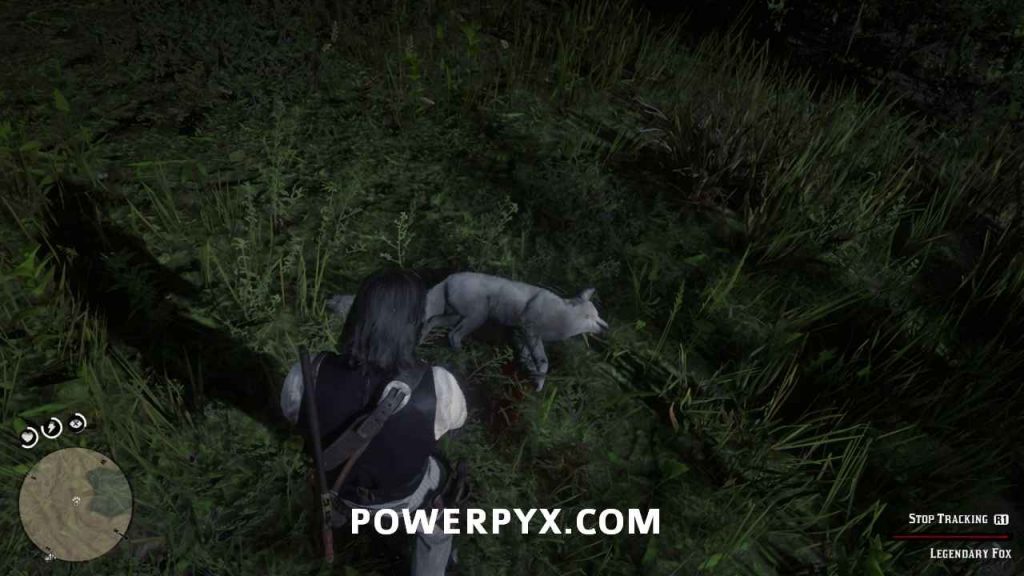 Red Dead Redemption 2 Legendary Animals Locations