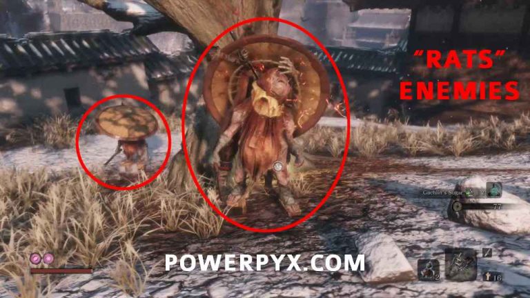 Sekiro Shadows Die Twice All Combat Styles & Skills Locations