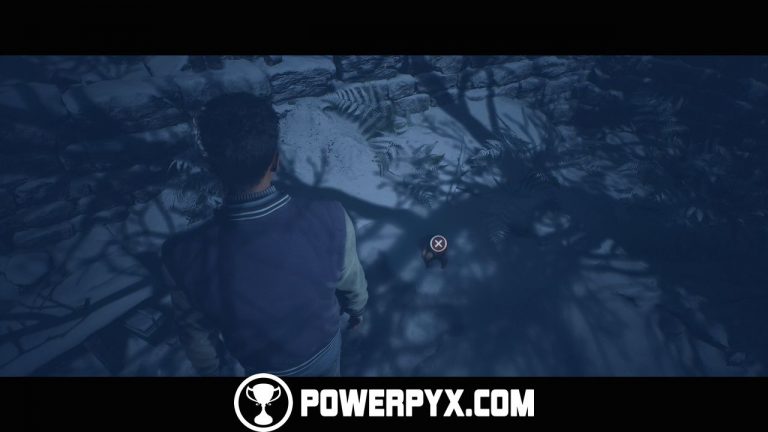 Until Dawn Collectible Guide _ Until Dawn Remake: All Totems and Where ...