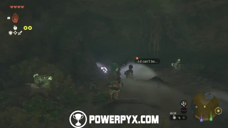 Zelda Tears of the Kingdom A Bottled Cry for Help Walkthrough