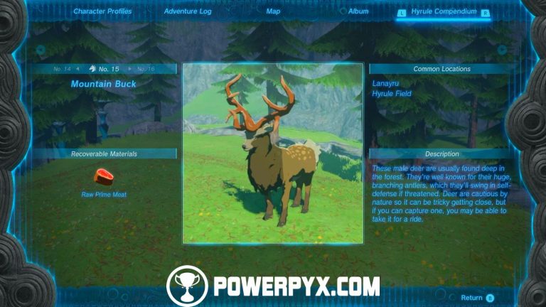 Zelda Tears of the Kingdom Full Hyrule Compendium