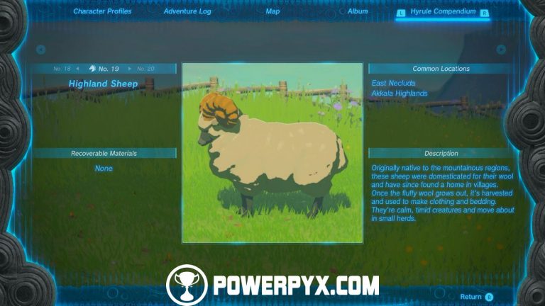 Zelda Tears of the Kingdom Full Hyrule Compendium