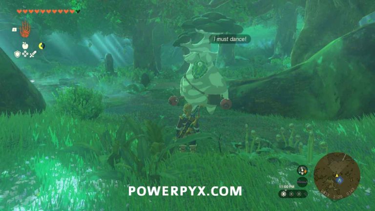 Zelda TOTK Hestu Location