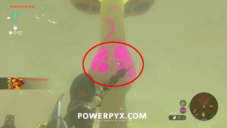 Zelda Tears of the Kingdom - Riju of Gerudo Town Walkthrough