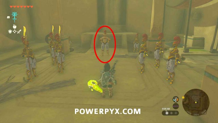 Zelda Tears of the Kingdom - Riju of Gerudo Town Walkthrough