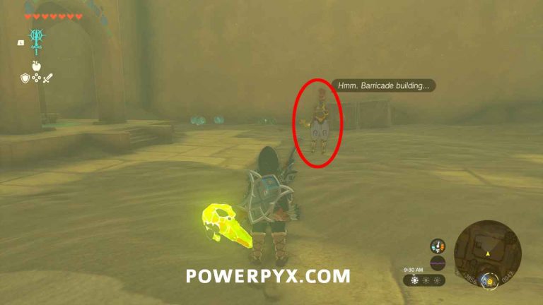 Zelda Tears of the Kingdom - Riju of Gerudo Town Walkthrough