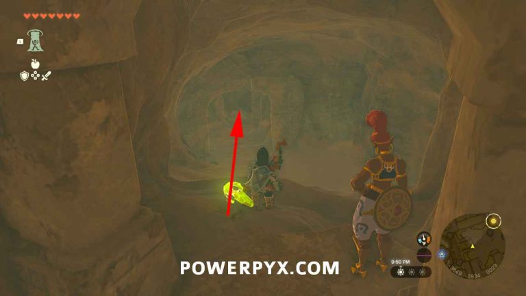 Zelda Tears of the Kingdom - Riju of Gerudo Town Walkthrough