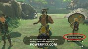 Zelda Tears of the Kingdom - Secret of the Ring Ruins Walkthrough
