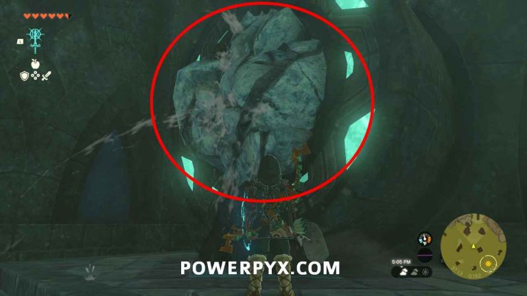 Zelda Tears of the Kingdom - Sidon of the Zora Walkthrough