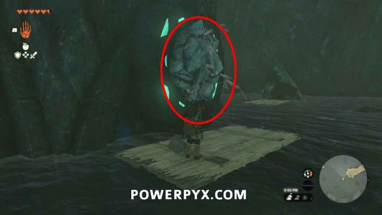 Zelda Tears of the Kingdom - Sidon of the Zora Walkthrough