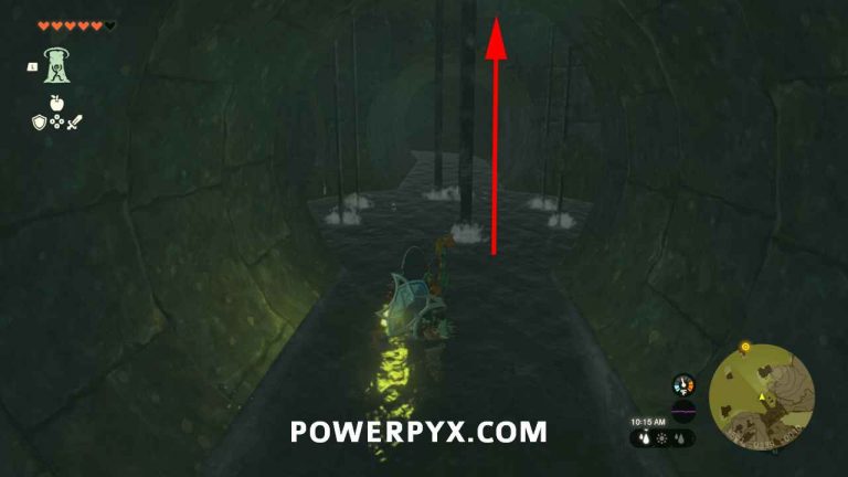 Zelda Tears of the Kingdom - Sidon of the Zora Walkthrough