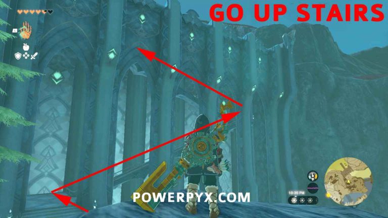 Zelda Tears of the Kingdom - Sidon of the Zora Walkthrough