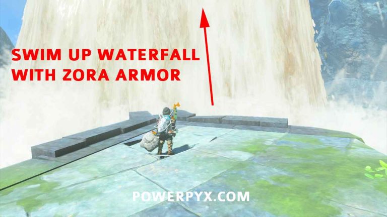 Zelda Tears of the Kingdom - Sidon of the Zora Walkthrough