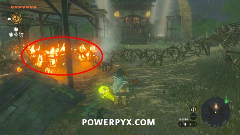 Zelda Tears of the Kingdom - Rabella Wetlands Skyview Tower Guide