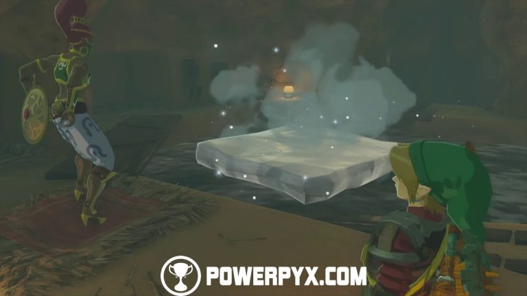 Zelda Tears of the Kingdom The Iceless Icehouse Walkthrough