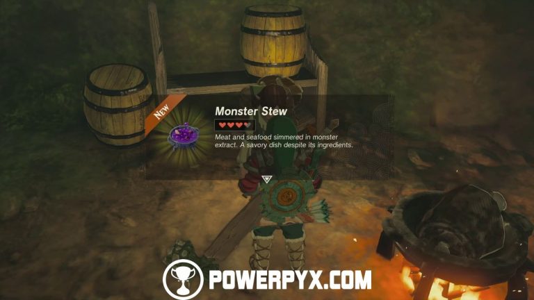 Zelda Tears of the Kingdom The Ultimate Dish? Walkthrough