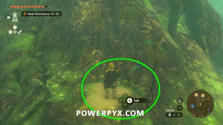 Zelda Tears of the Kingdom Deku Tree Location